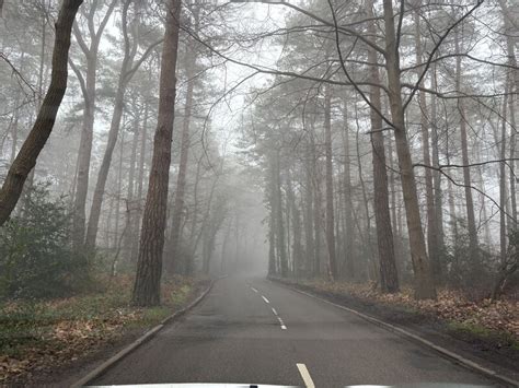 Peace I Was Attending An Insightful Montessori Conference Organized By The Montessori