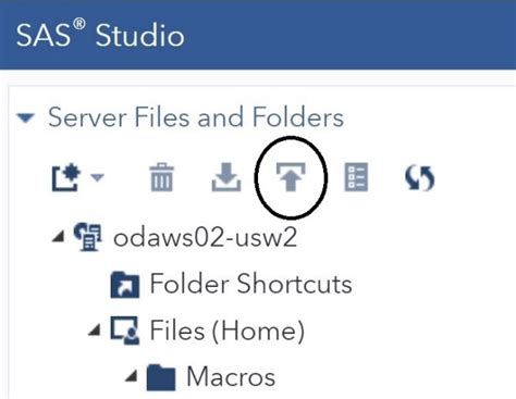 How To Use The Sas Auto Call Facility Sas Users