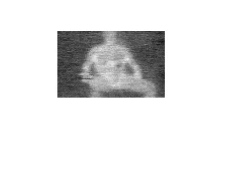 Passive Millimeter Wave Radiometric Imaging System Ppt