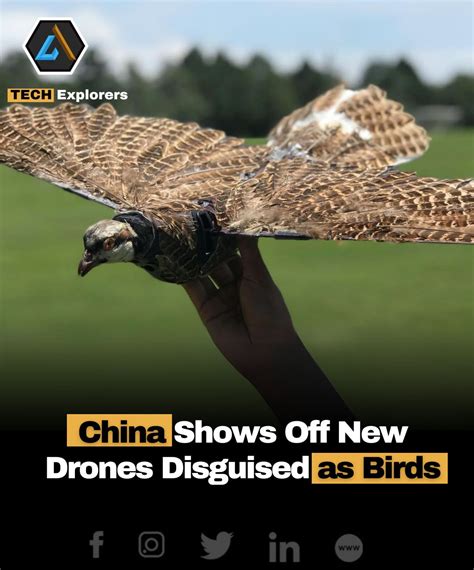 Tech Explorers On Linkedin Spydrones China Technews