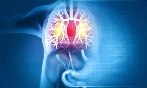 Chronic Obstructive Pulmonary Disease Copd Drug Discovery World Ddw