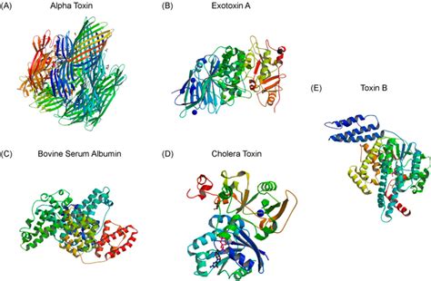 Staphylococcus Aureus Alpha Toxin Alchetron The Free Social Encyclopedia
