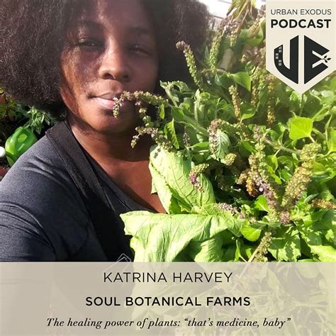 Katrina Harvey Of Soul Botanical Farms The Healing Power Of Plants