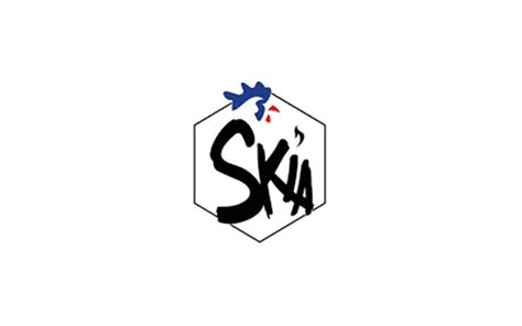 Dépannage Entretien Poêle à Granulés Skia Design