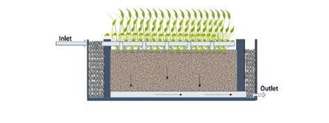 vertical subsurface flow constructed wetlands [45] download