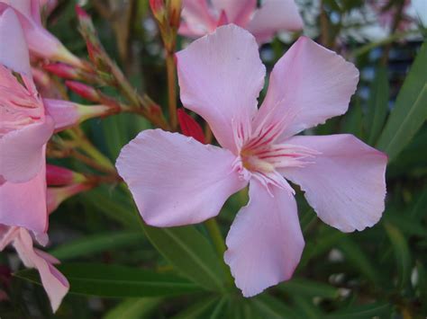 The One Photograph By Donna J Slatton Fine Art America