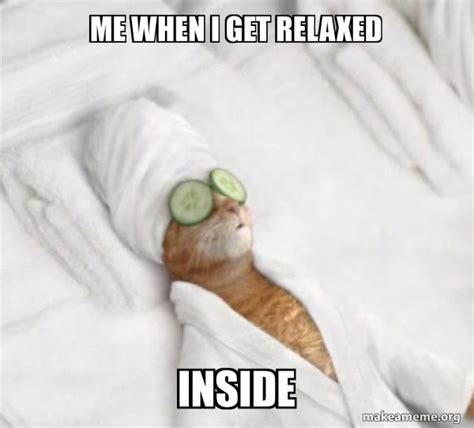 Me When I Get Relaxed Inside Pampered Cat Meme Meme Generator