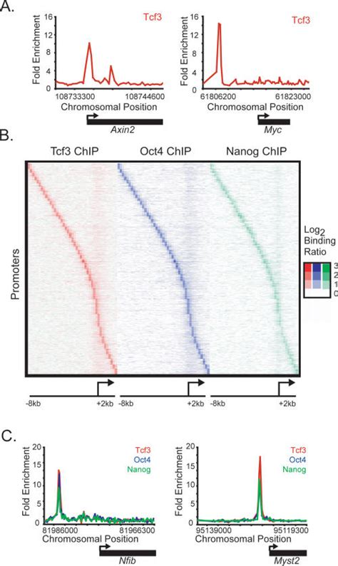 Tcf3 Is An Integral Component Of The Core Regulatory Circuitry Of