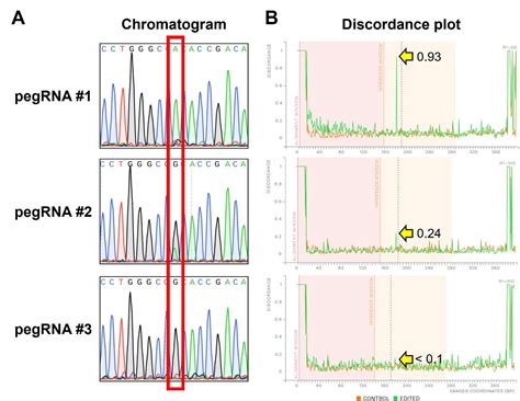Precise Generation Of Human Induced Pluripotent Stem Cell Derived Cell Lines Harboring Disease