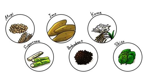 Shōchū Exploring Japans Distinctive Spirit Of Tradition — Home