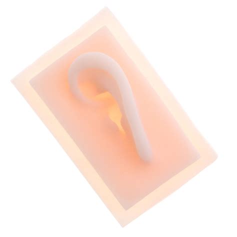 Natural Size Human Left Ear Model Silicone Ear Ac Grandado