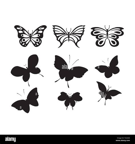 Insect Butterfly Outline Vector Nature Coloring Book Insect Butterfly Outline Vector Nature