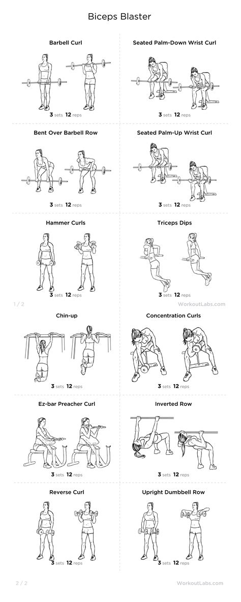 Yaxeni Oriquen Biceps