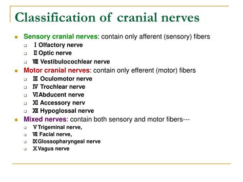 Ppt Cranial Nerves Powerpoint Presentation Free Download Id5707270