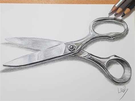 Scissors Drawing Realistic At Norma Castro Blog