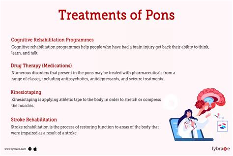 Pons Human Anatomy Image Functions Diseases And Treatments