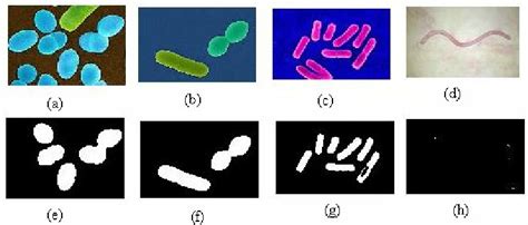 Some Sample Images Corresponding To Misclassification Results A D