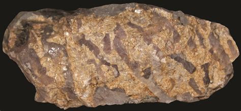 Mineral Of The Month Pegmatite July 2021 Gitche Gumee Agate And