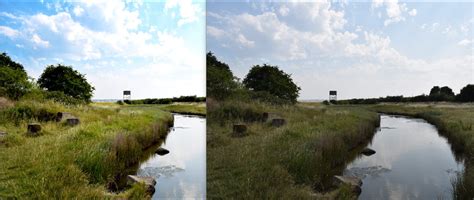 Adele Cleary Photography Morning Hope Your Monday Is Going Well And