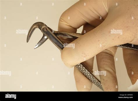 Dentist Holding A Pair Of Orthodontic Pliers Used For Extracting Teeth