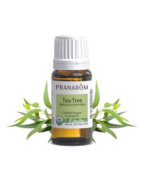 Pranarom Tea Tree Essential Oil 15ml Macys
