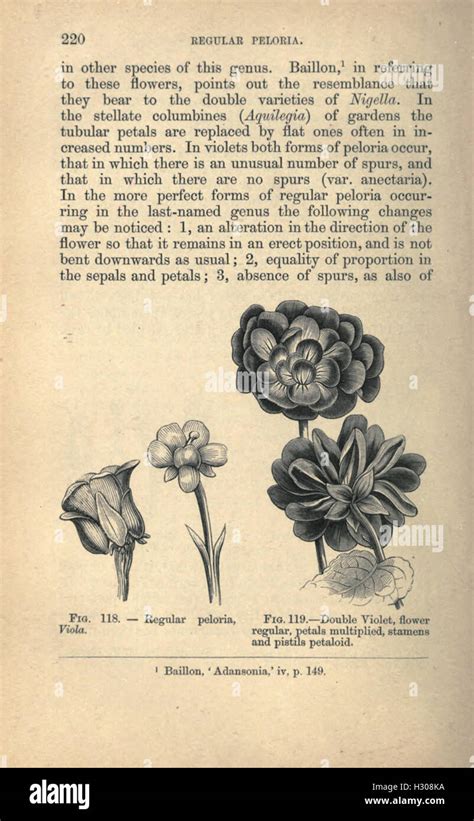 Vegetable Teratology Studies The Abnormal Growths And Deformities In