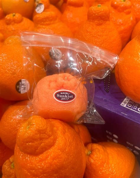 Sumo Citrus Navel Orange Taba Squishy Stress Relief Desk Buddy