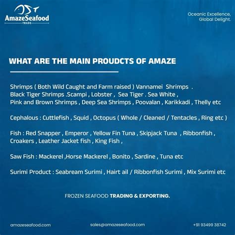 Supply Basa Fish Pangasius Whole Chilled Packaging Type Box Basa