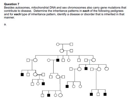 Solved Question 7besides Autosomes Mitochondrial Dna And