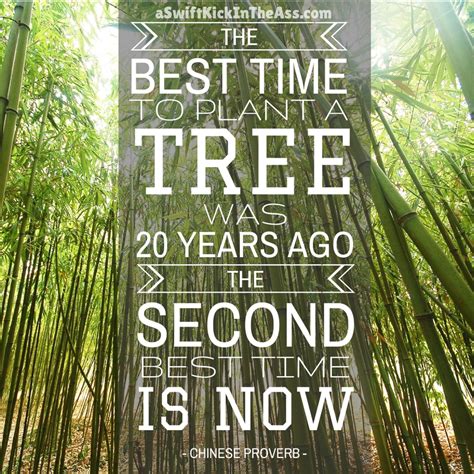 The Best Time To Plant A Tree Was 20 Years Ago The Second Best Time Is