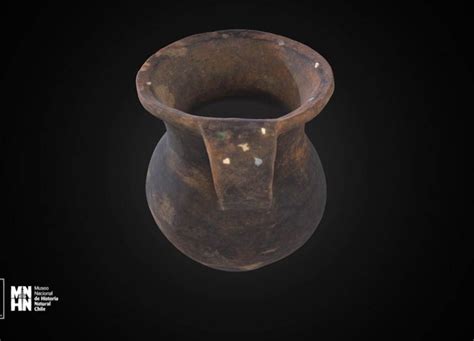 Mapuche Jug Free 3d Model On