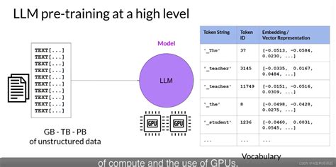 Llm预训练大型语言模型pre Training Large Language Models Llm 本地部署 预训练模型 Csdn博客