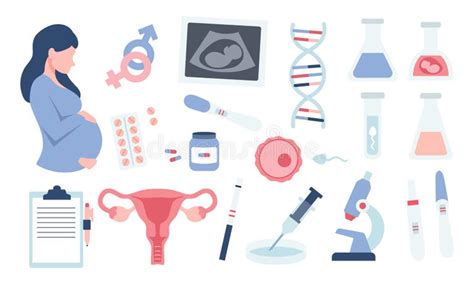 Pregnancy Set Elements In Cartoon Flat Style Medical Test Sex Determination Fertilization