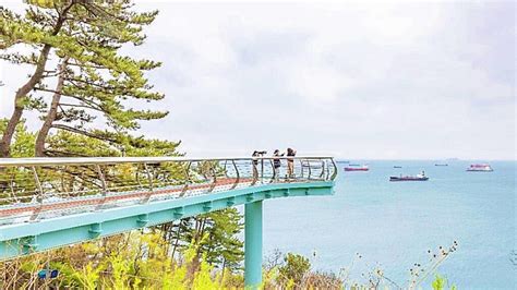 놓치면 후회하는 필수 코스… 스카이워크와 바다 산책로까지 무료로 만나는 부산 여행 풍경