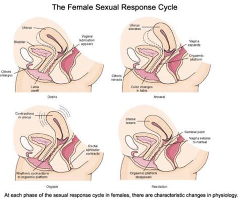 Uterine Orgasm Flash Sales