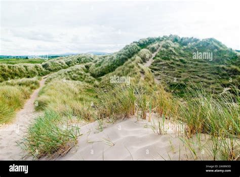 Footpath Through Sand Dunes At The Beach With Long Grass And No People
