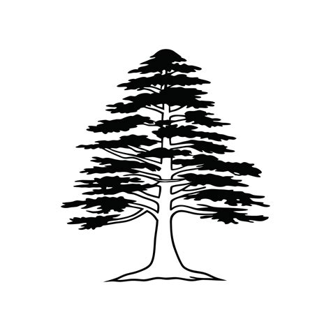 Elegant Eastern Red Cedar Tree Design Outline 57956376 Vector Art At