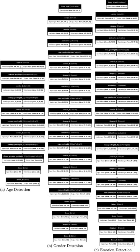 Real Time Gender Age And Emotion Detection Using Cnn Springer