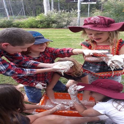 Bobin Public School Sydney Australia Profile Rating Fee Structure