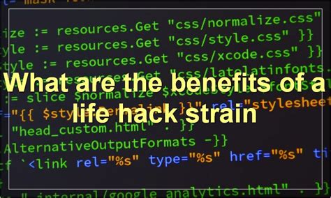 Life Hack Strain The Benefits How To Use And More Food Readme