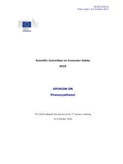 Scientific Committee On Consumer Safety Sccs Safety Sccs Pdf4pro