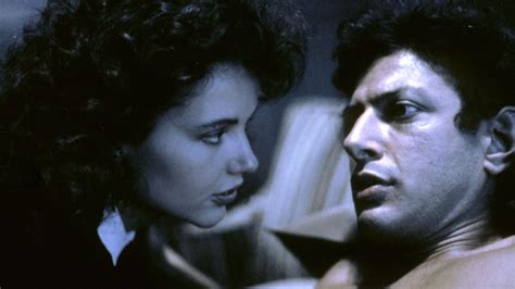 La Mouche Forum Des Images