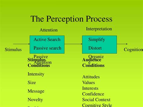 Ppt Psychological Processes Powerpoint Presentation Free Download