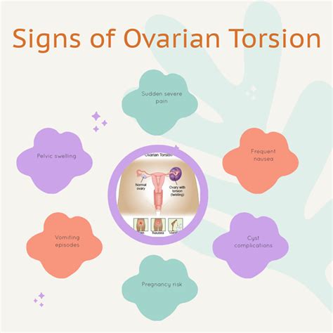 Avoiding Emergency Surgery How To Recognize Early Signs Of Ovarian Torsion Dr Anantha Reddy