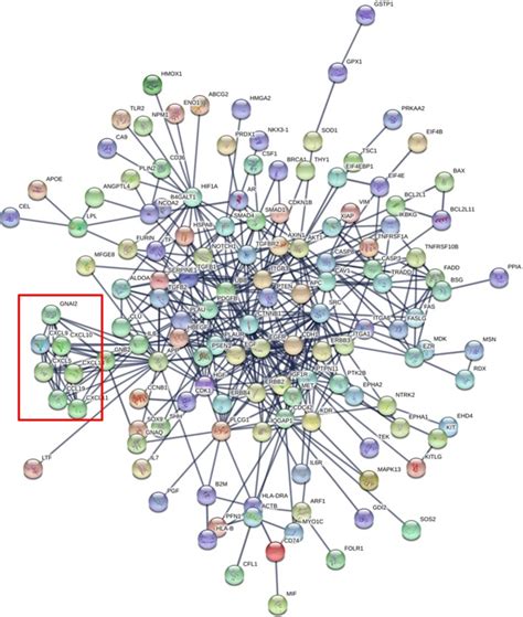 Exosomics Exosome Rna