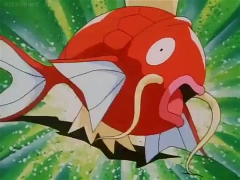 Magikarp By Tatsunokoisthebest On Deviantart