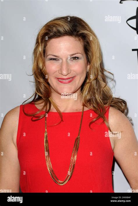 Ana Gasteyer Husband