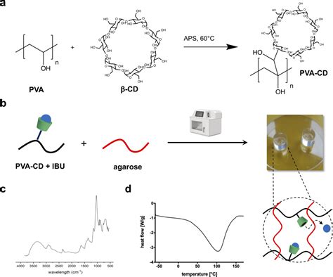 β Cyclodextrin Functionalized Agarose Based Hydrogels For Multiple Controlled Drug Delivery Of