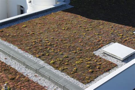 Comment Aménager Un Toit Terrasse Triskeline