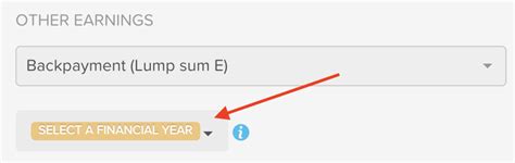 Processing A Lump Sum E Payment In The Pay Run